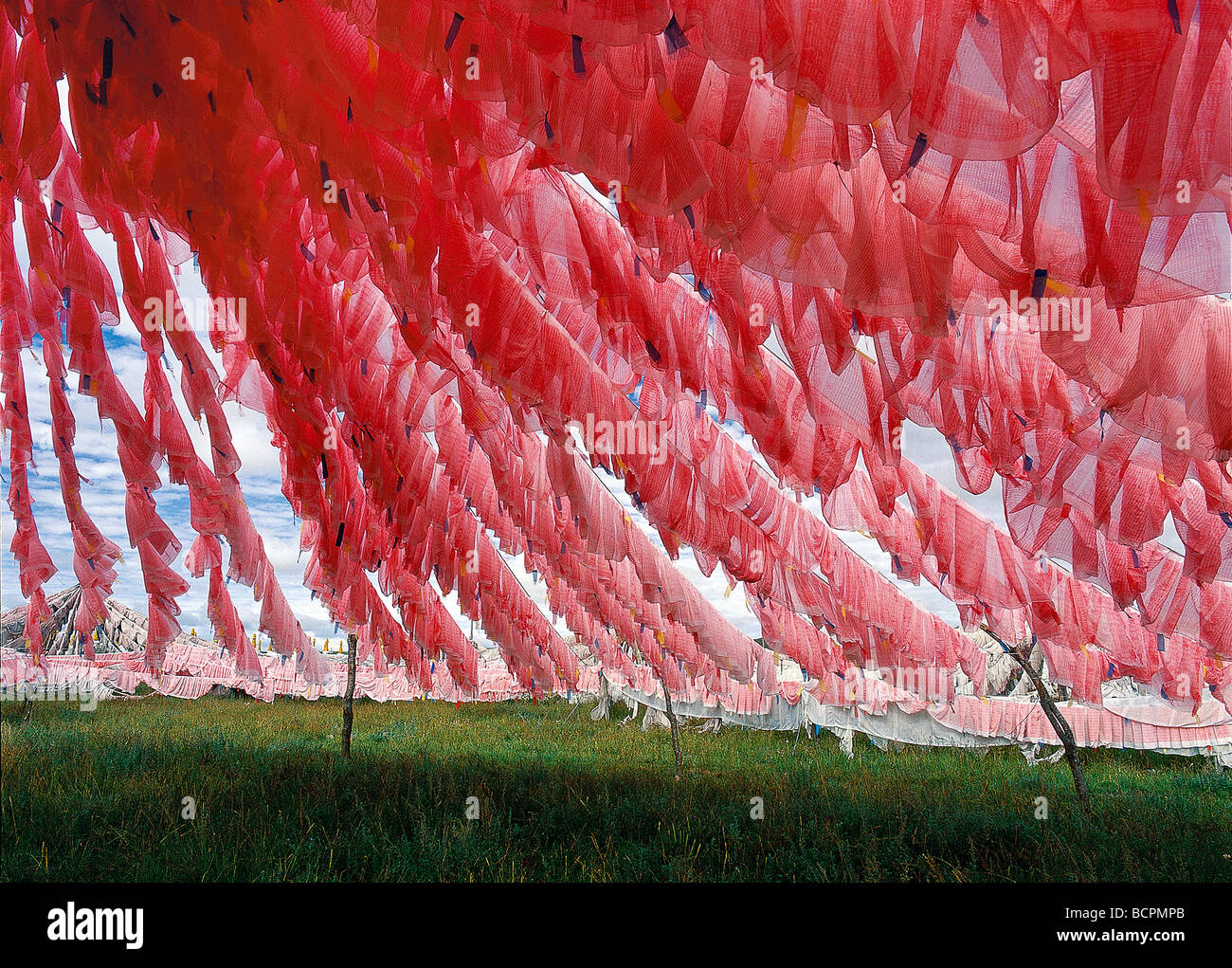 Prayer flags, Hongyuan, Aba Qiang and Tibetan Autonomous Region ...