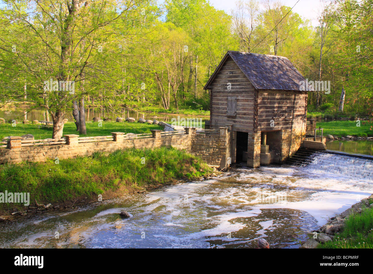 Are Dogs Allowed At Levi Jackson State Park