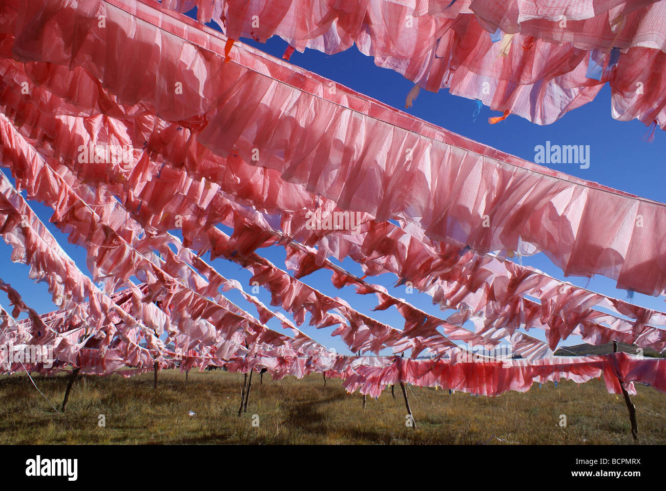Red prayer flags, Waqie Village, Hongyuan, Aba Qiang and Tibetan ...