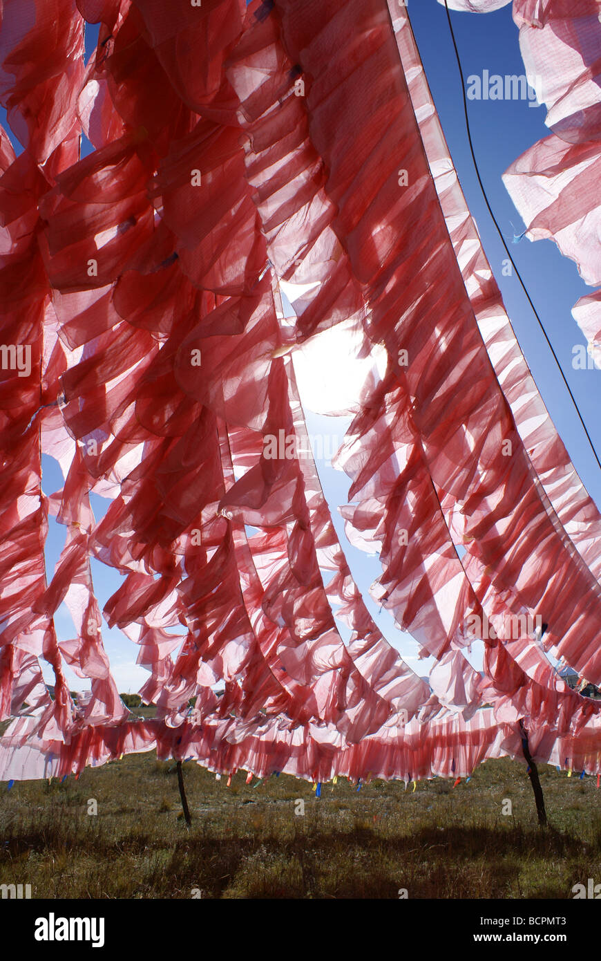 Red prayer flags, Waqie Village, Hongyuan, Aba Qiang and Tibetan ...