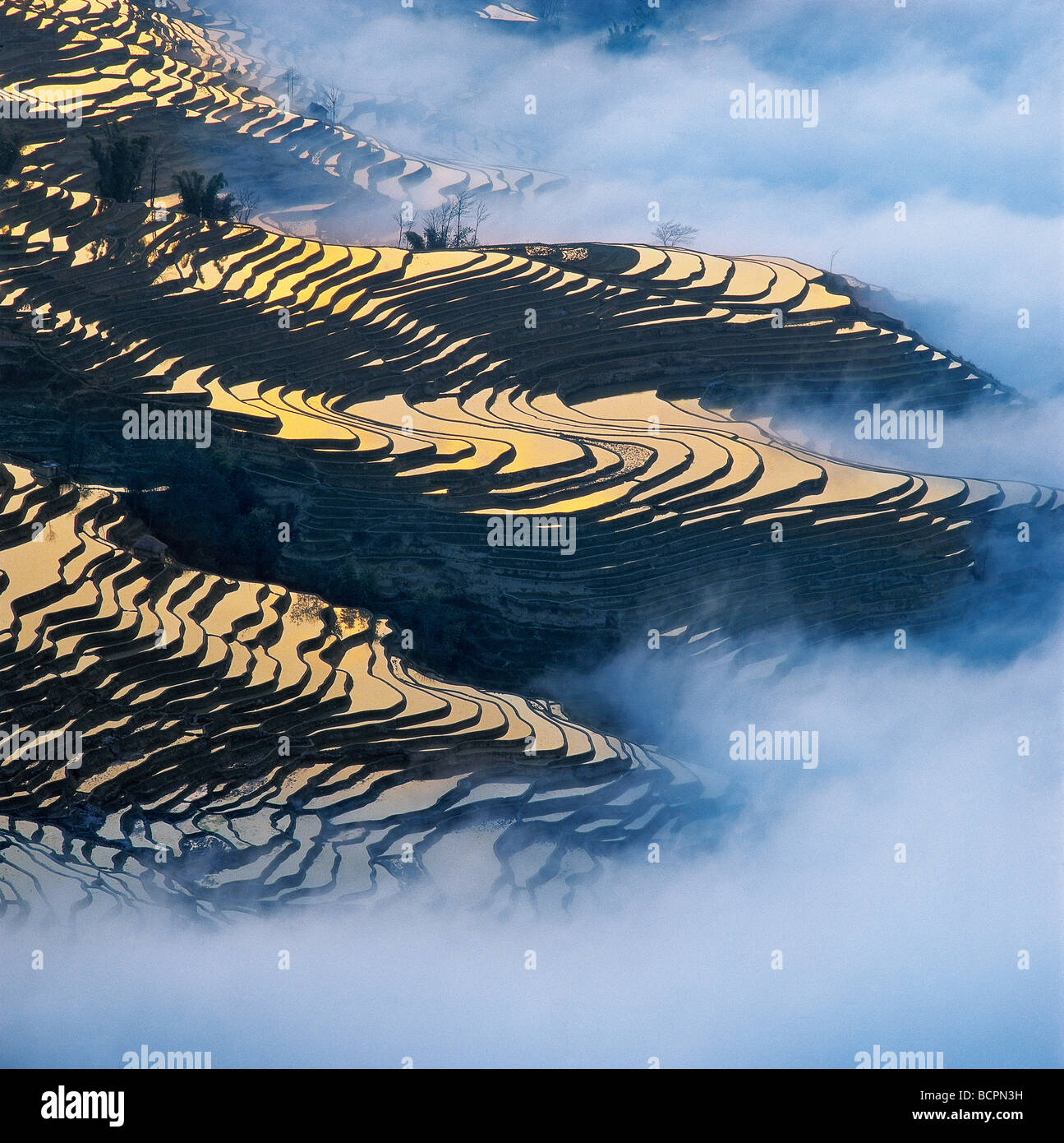Yuanyang Terrace, Yuanyang, Yunnan Province, China Stock Photo - Alamy