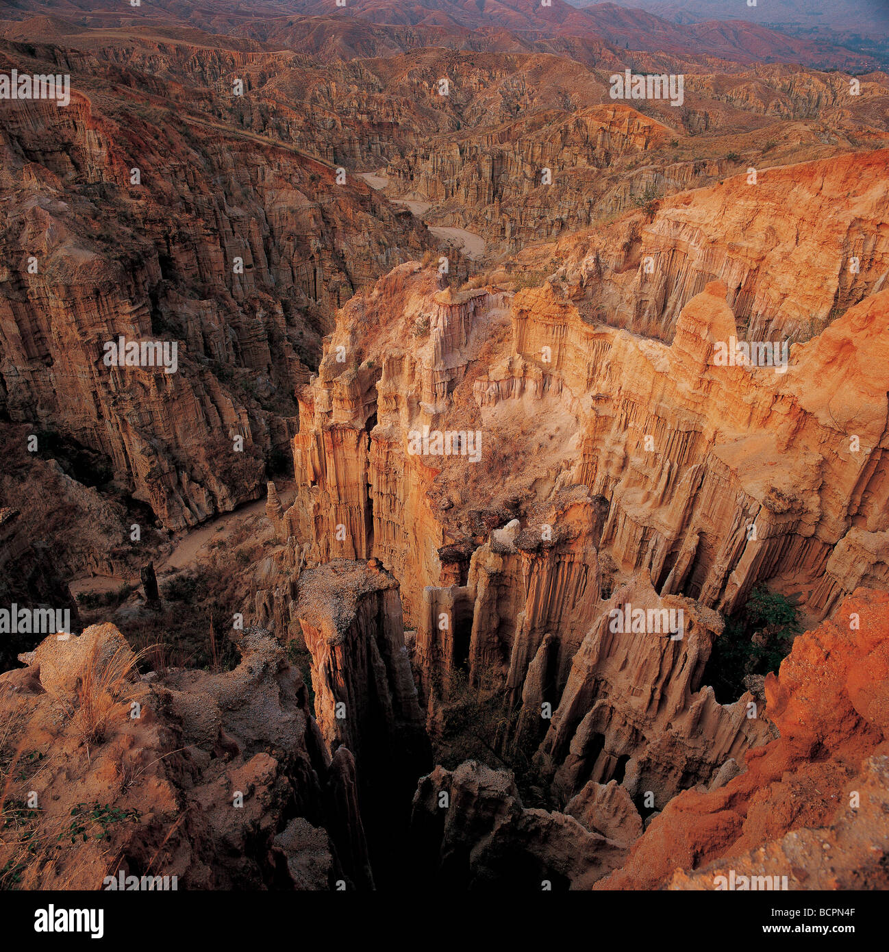 Yuanmou clay forest in Yunnan Province, China Stock Photo - Alamy