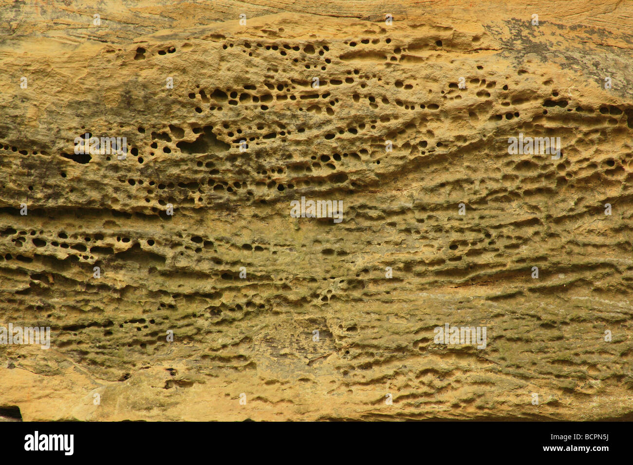 Close up of the Natural Bridge Natural Bridge State Resort Park Slade ...