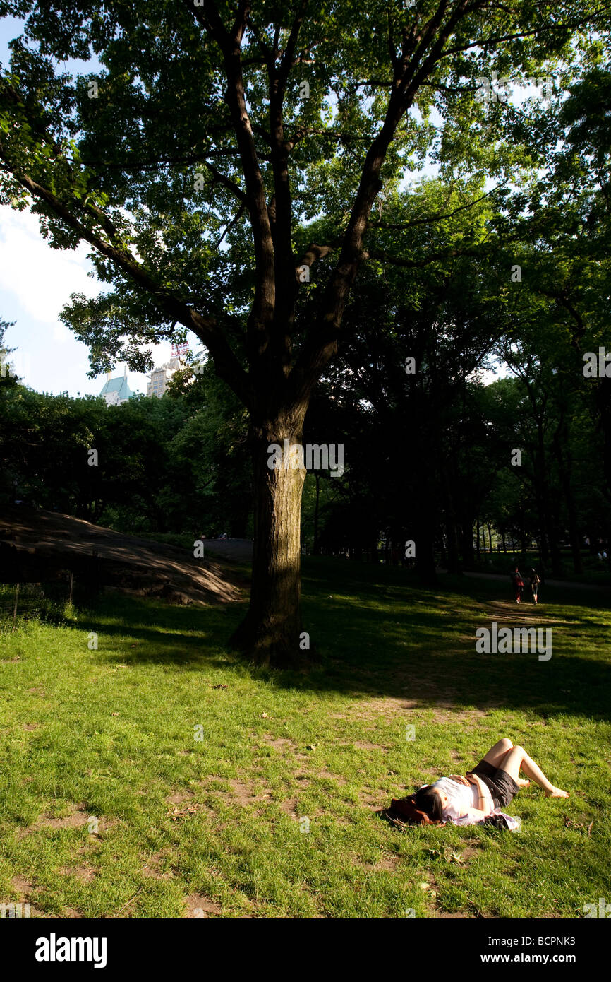 woman sleeping alone in the sun in Central Park on a warm summer day in ...