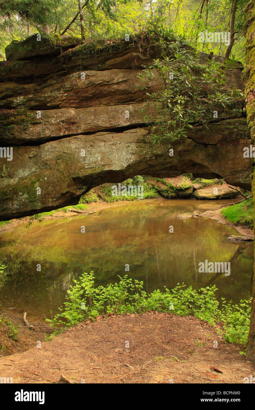 Rock Bridge Red River Gorge Geological Area Slade Kentucky Stock Photo ...