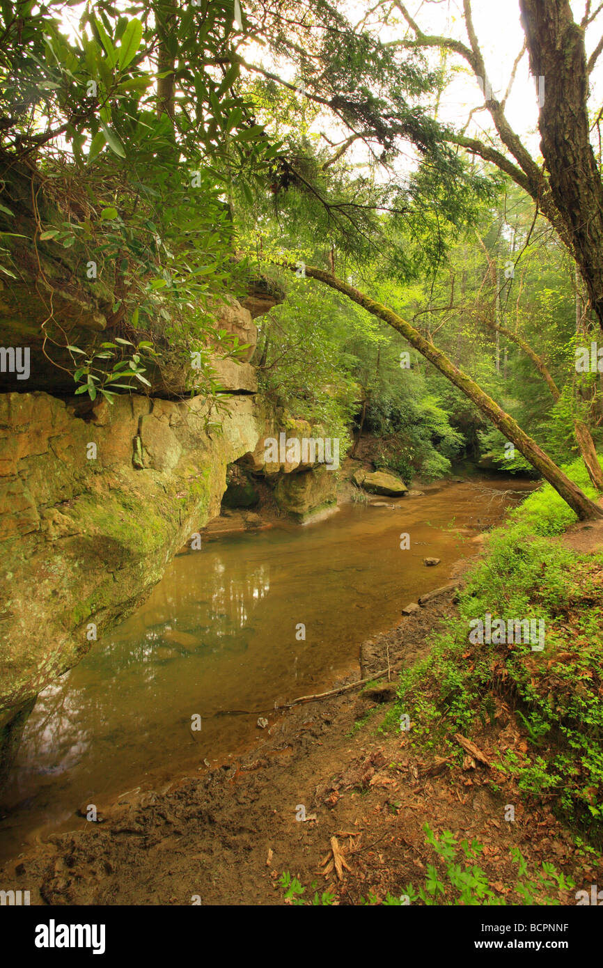 Rock Bridge Red River Gorge Geological Area Slade Kentucky Stock Photo ...