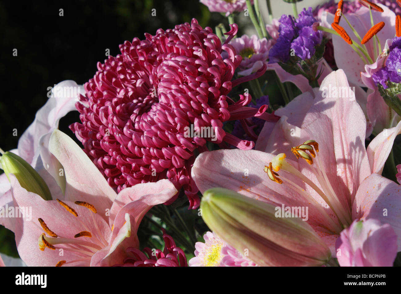 Beautiful bouquet of the colorful flowers from above overhead pictures ...