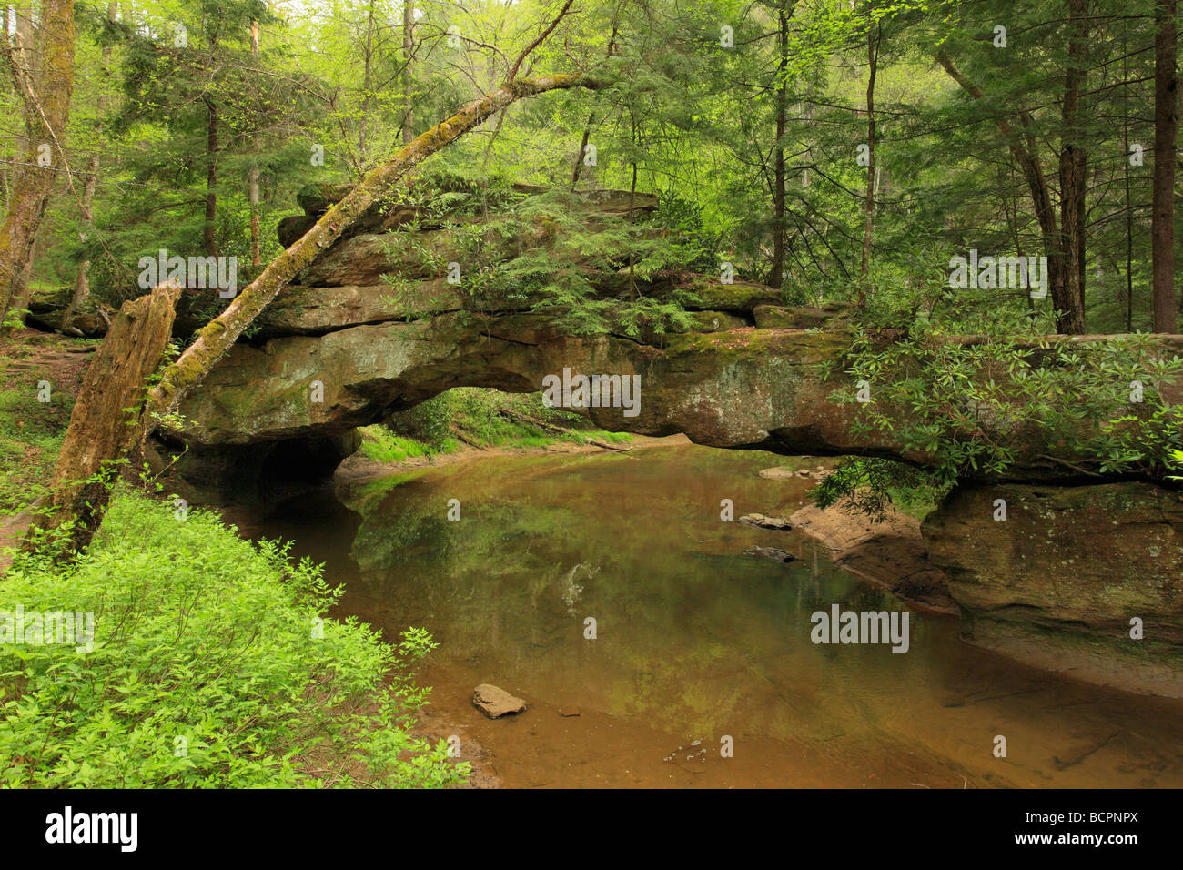 Red river gorge hi-res stock photography and images - Alamy