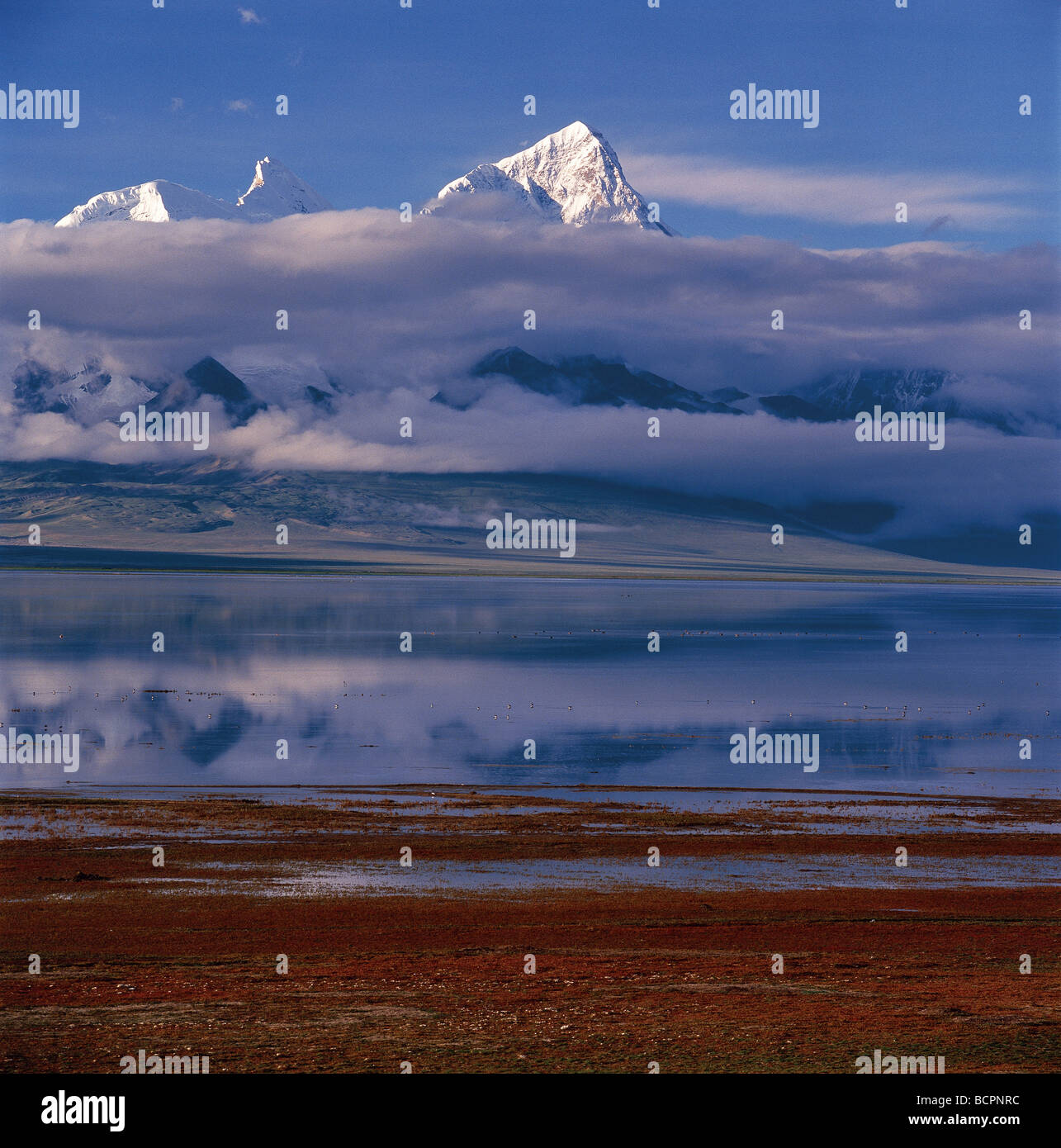 Yadong county hi-res stock photography and images - Alamy