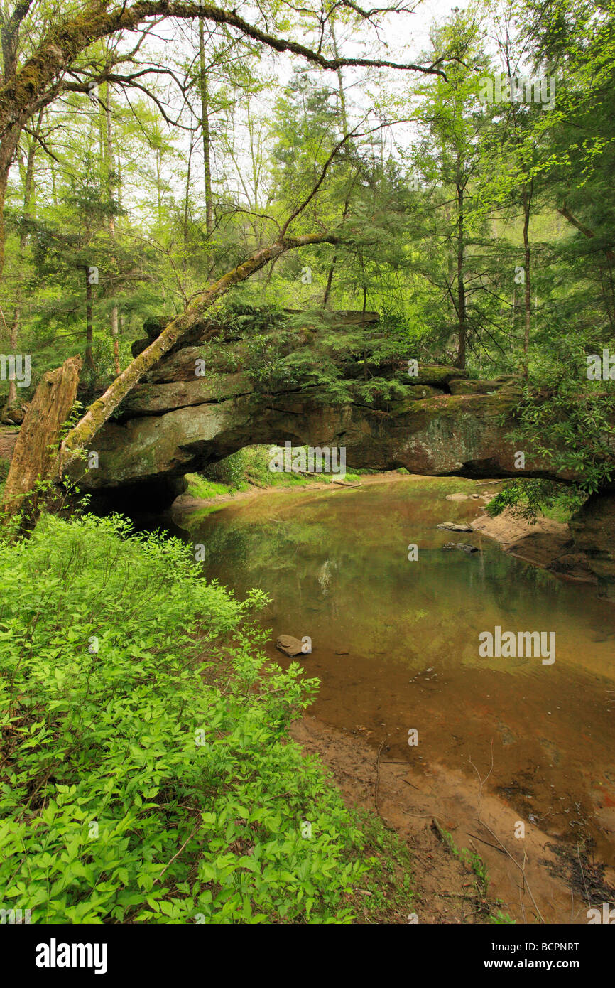 Rock Bridge Red River Gorge Geological Area Slade Kentucky Stock Photo ...