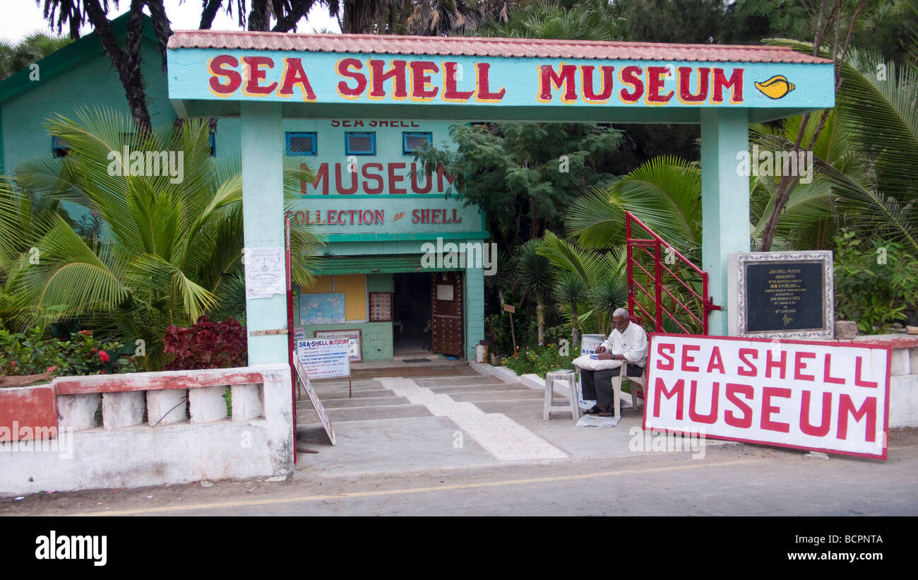 Old fashioned Sea Shell Museum near Nagoa Beach Diu India Stock Photo ...
