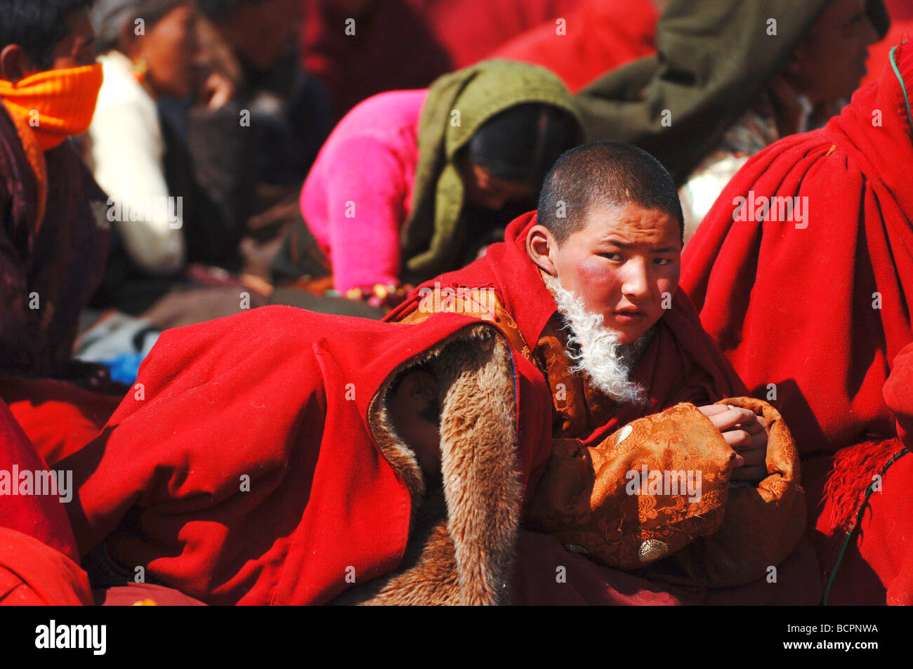 Boy monk during religious ceremony in a local Tibetan Buddhism ...