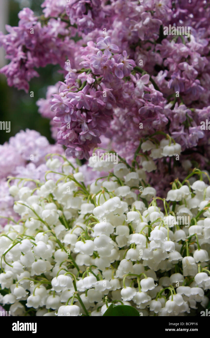 Valley hi res hi-res stock photography and images - Alamy