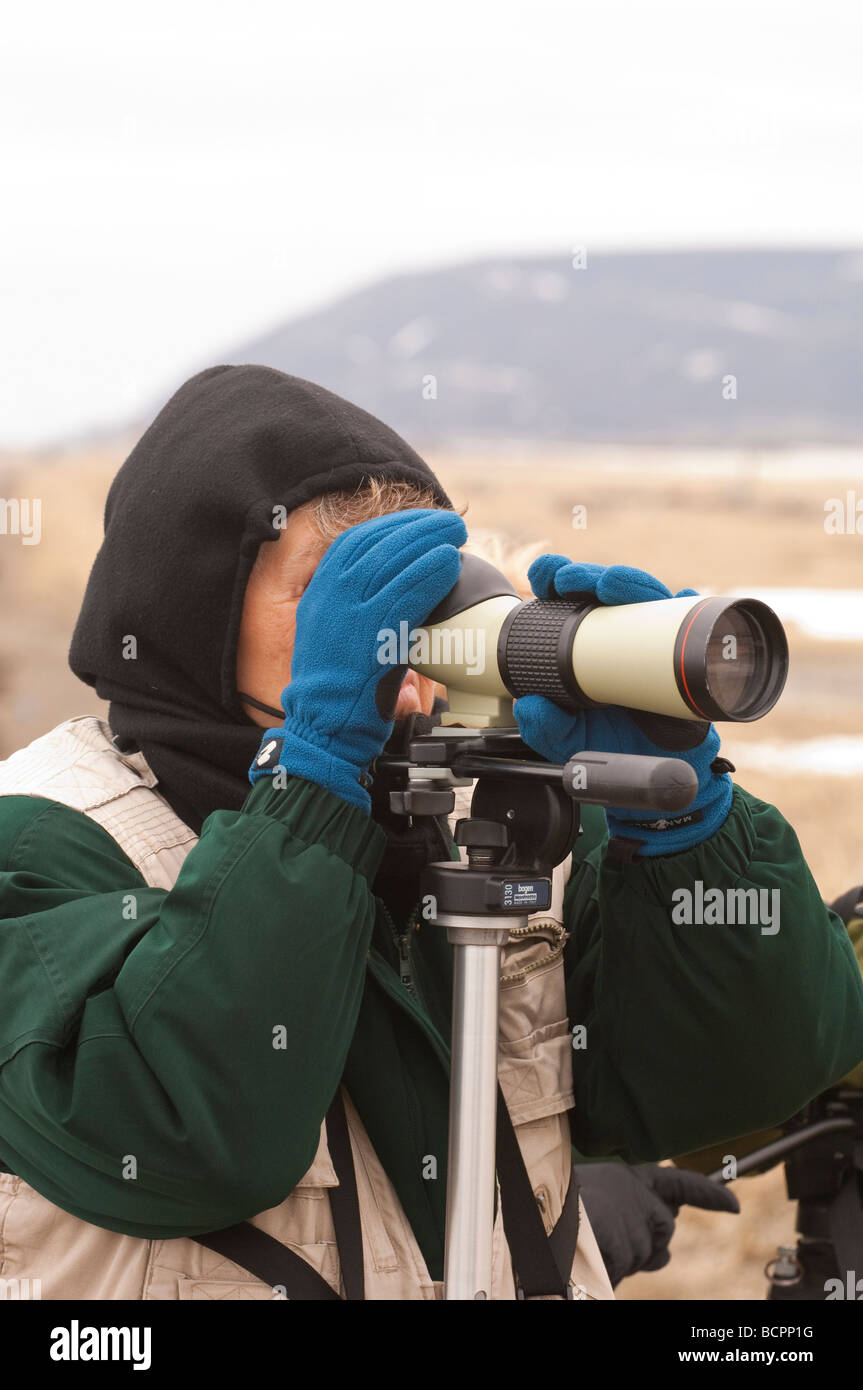 A BIRD WATCHER LOOKS THROUGH A SPOTTING SCOPE ALONG THE NOME COUNCIL ...