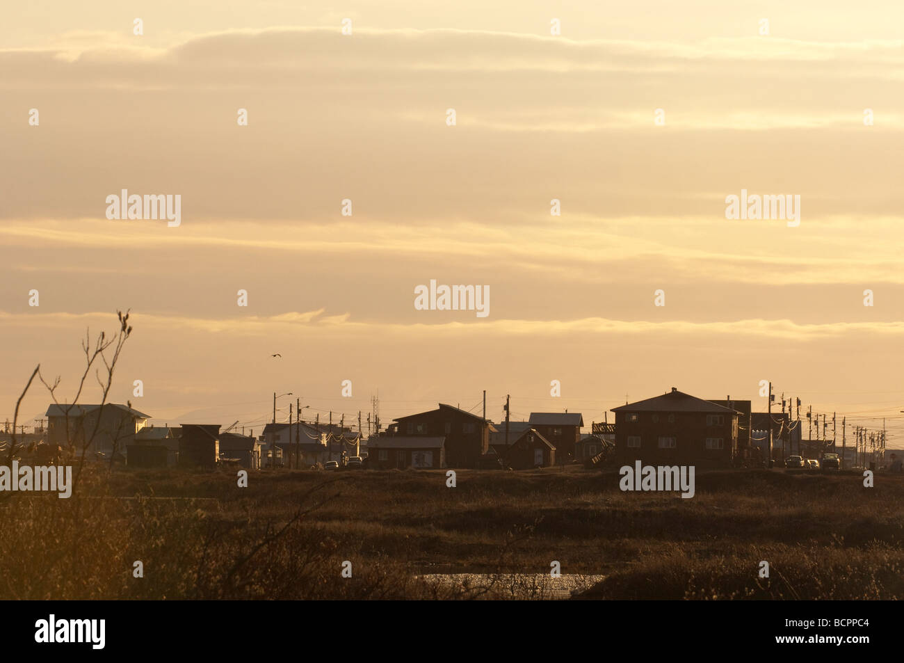 Alaska tundra sun hi-res stock photography and images - Alamy