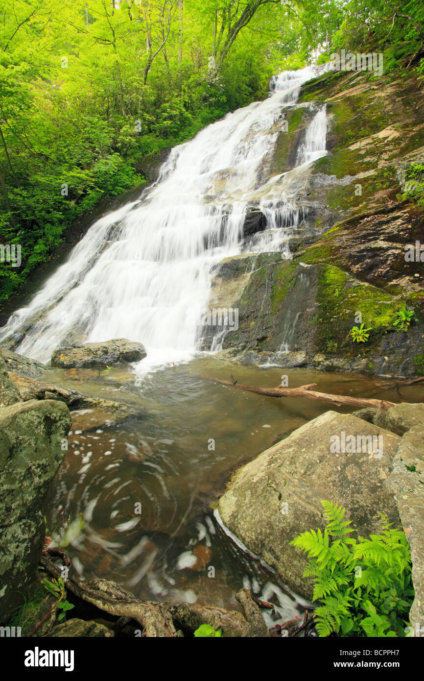 Cascade falls trail virginia hi-res stock photography and images - Alamy