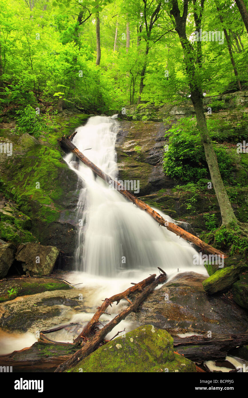 Cascade falls trail virginia hi-res stock photography and images - Alamy