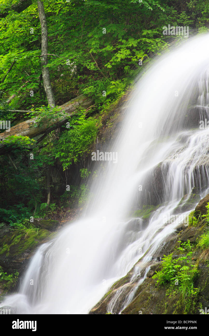 Cascade falls trail virginia hi-res stock photography and images - Alamy