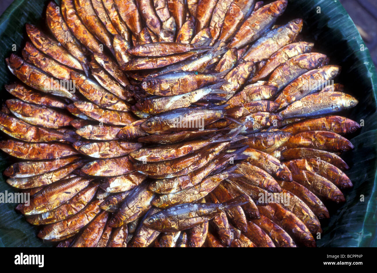fish quiapo market manila philippines Stock Photo - Alamy