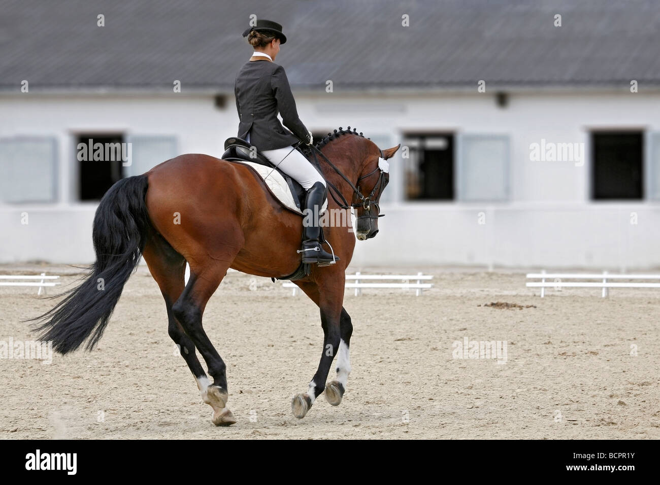 Dressage riding competition, dressage rider, riding arena Stock Photo ...