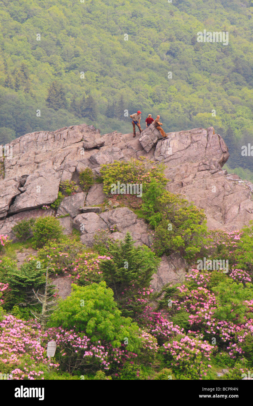Trail Riders Rhododendron Gap Mount Rogers National Recreation Area ...