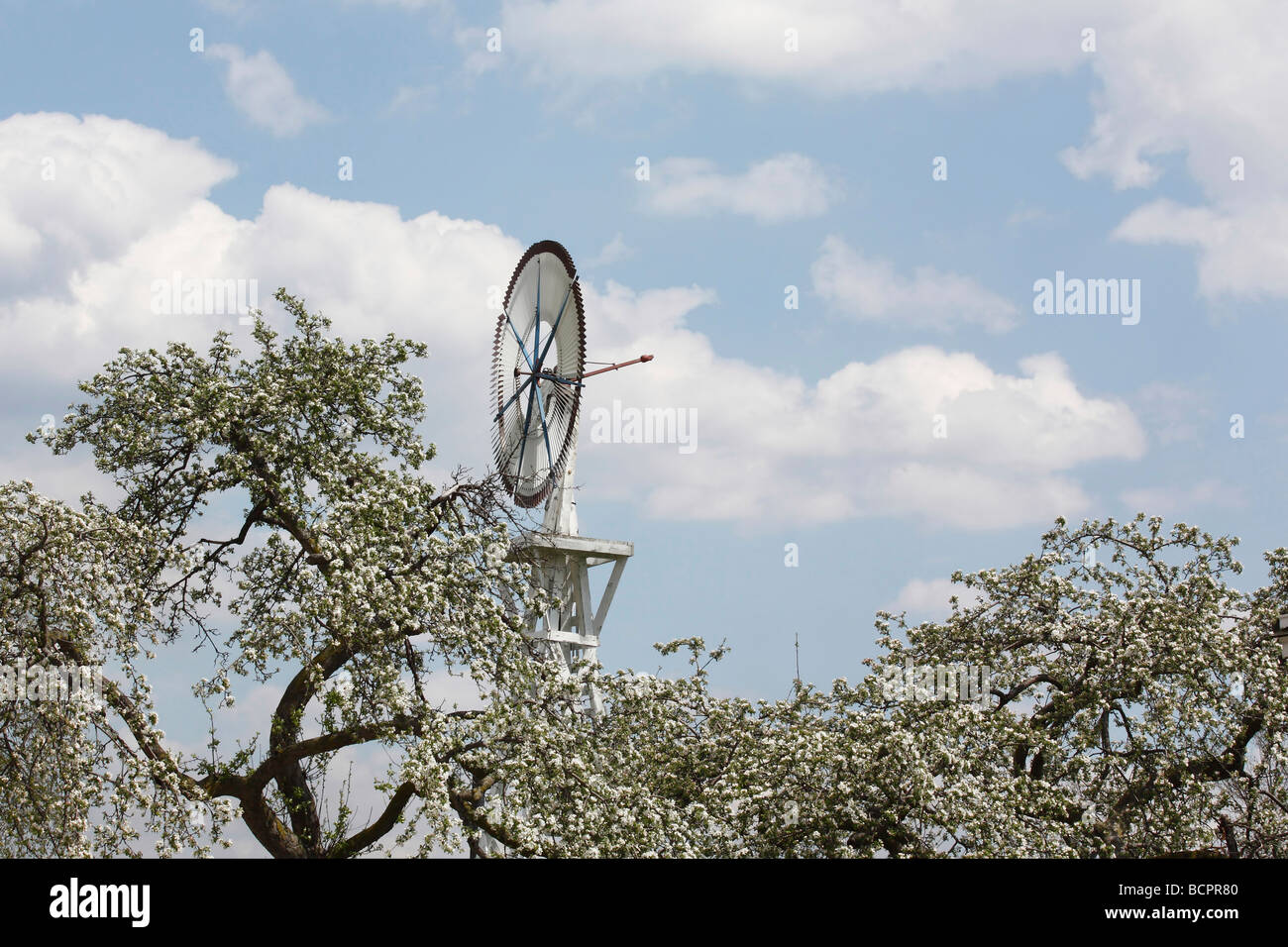 Rural windmill green energy and white blooming trees orchard in ...