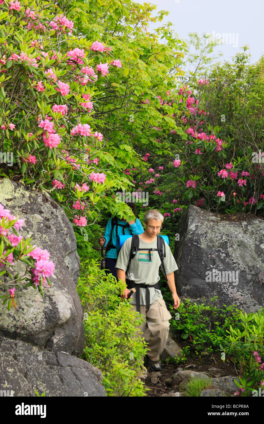 Hikers on Appalachian Trail Mount Rogers National Recreation Area ...