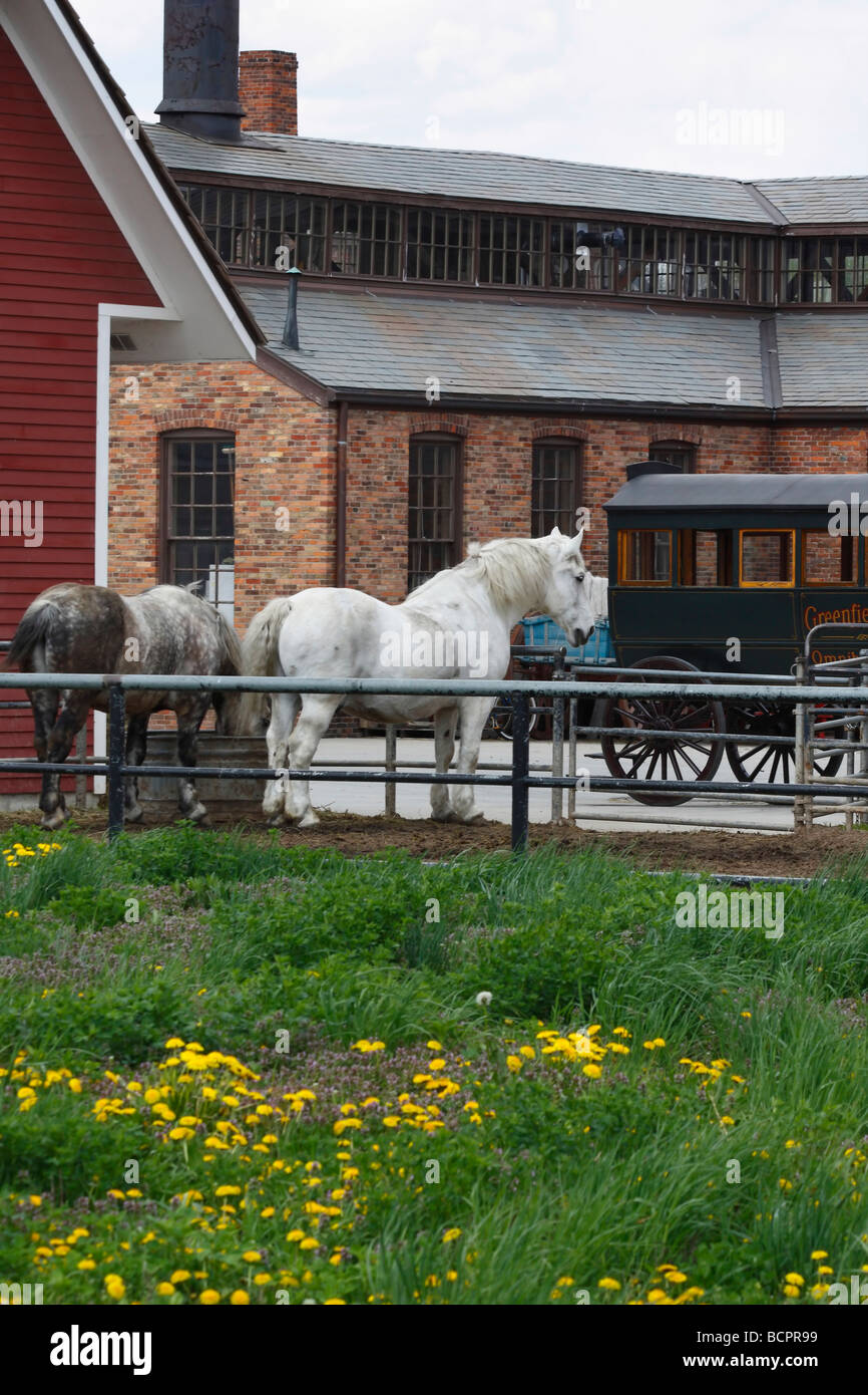 American horse barn hi-res stock photography and images - Alamy