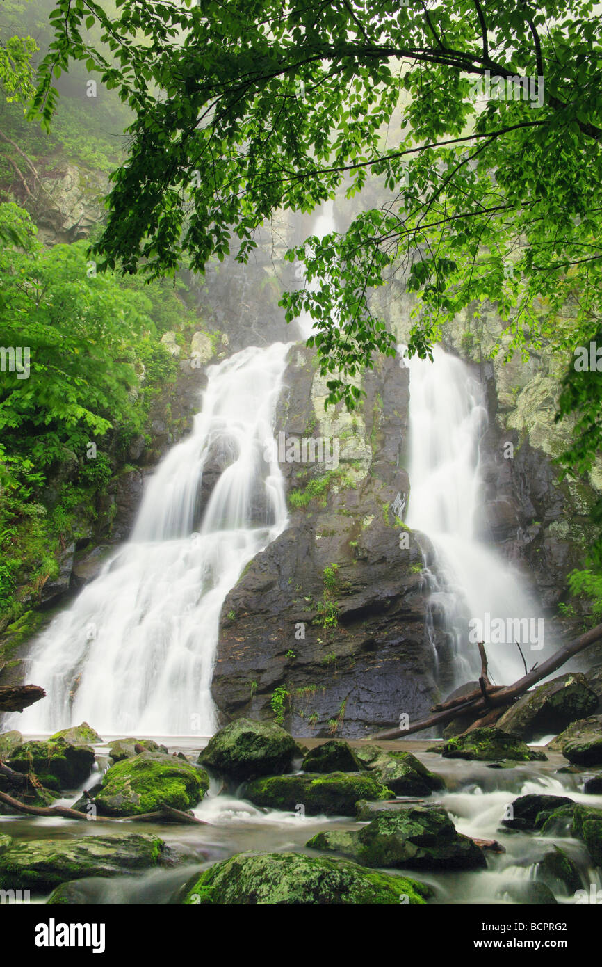 South River Waterfall in Shenandoah National Park Stock Photo - Alamy