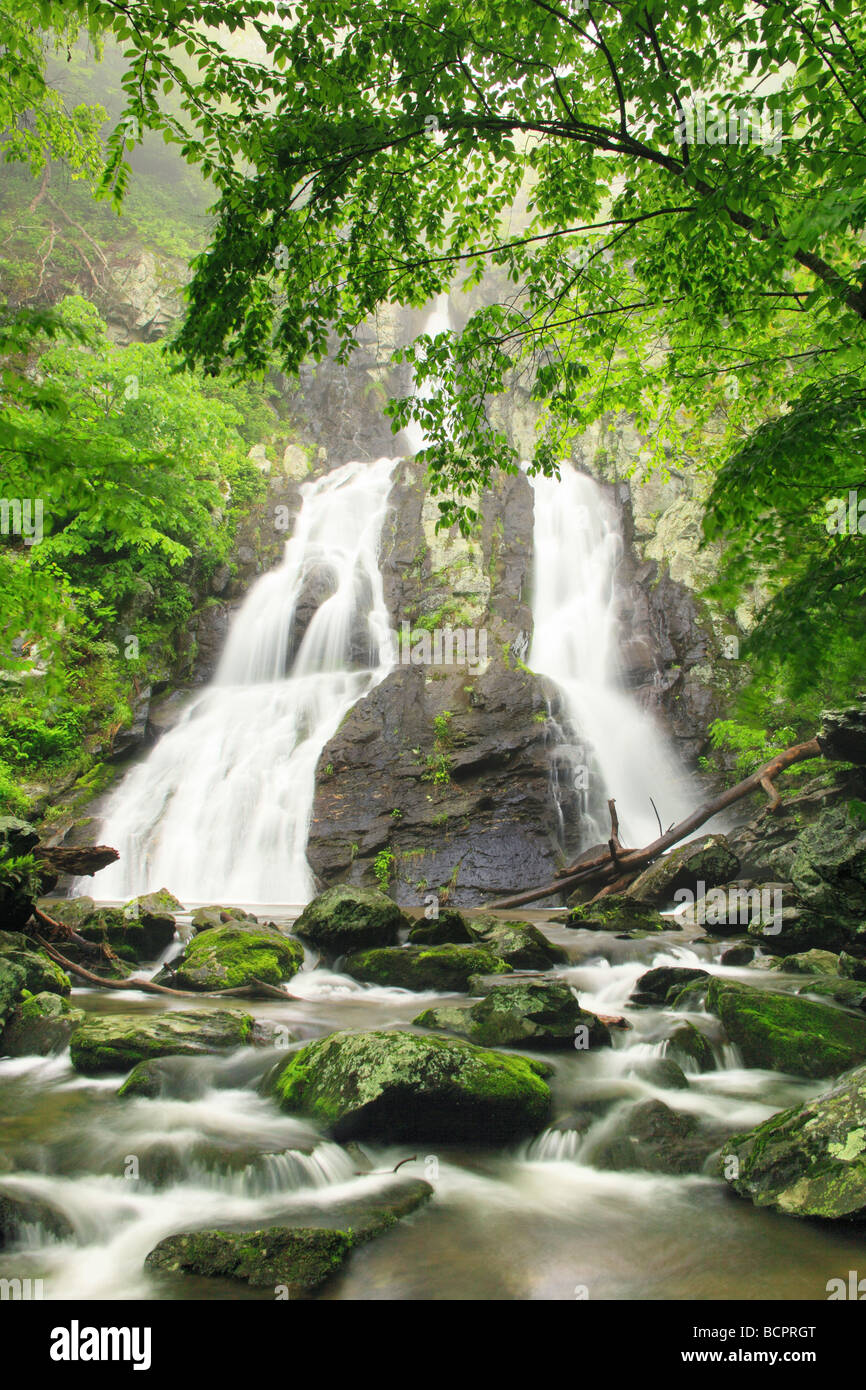 South River Waterfall in Shenandoah National Park Stock Photo - Alamy