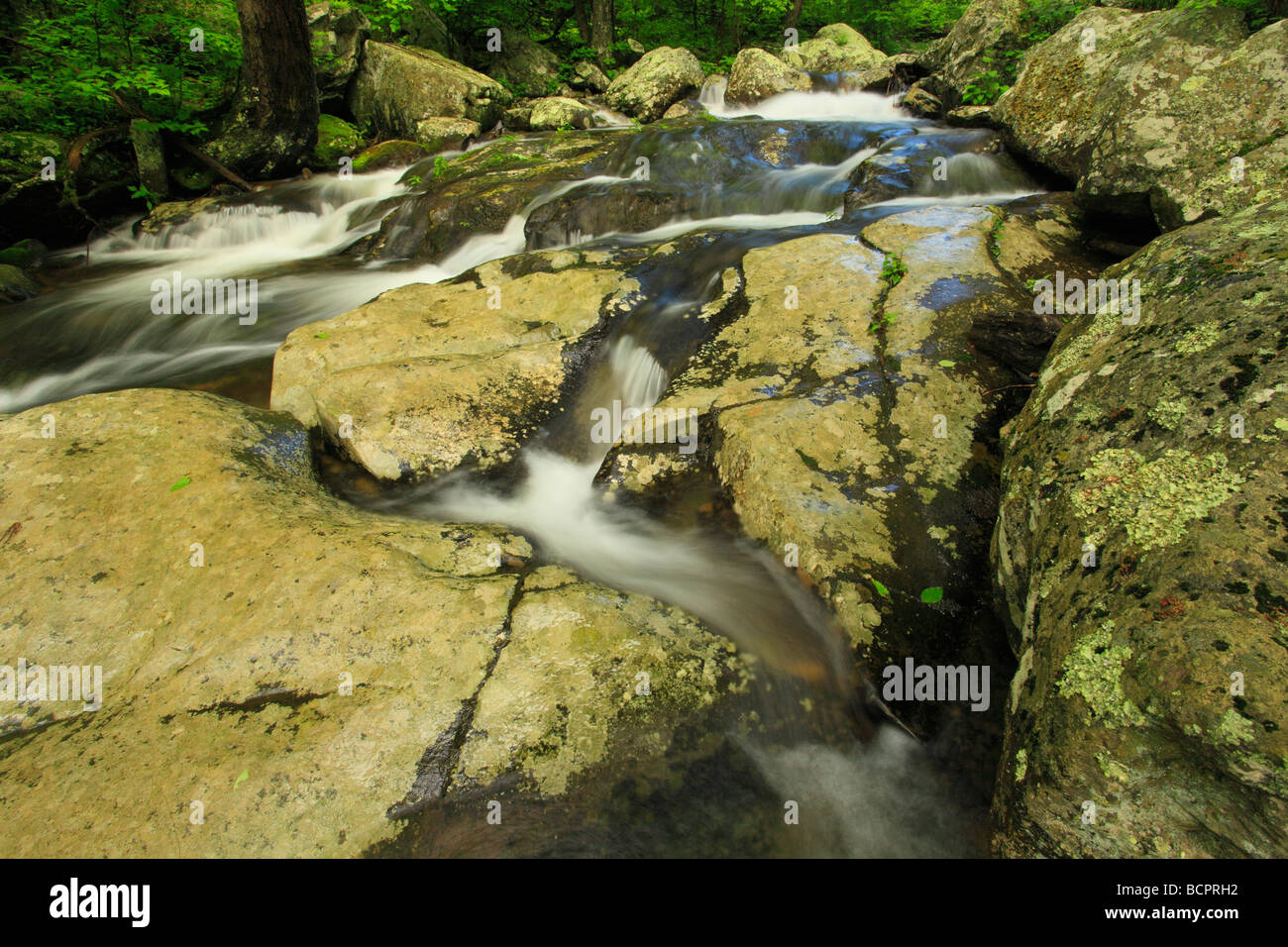 White Oak Canyon Stream Shenandoah National Park Virginia Stock Photo ...
