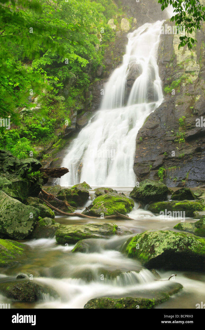 South River Waterfall in Shenandoah National Park Stock Photo - Alamy