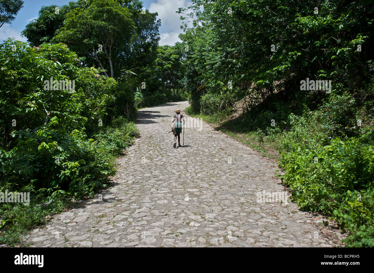 Milot hi-res stock photography and images - Alamy