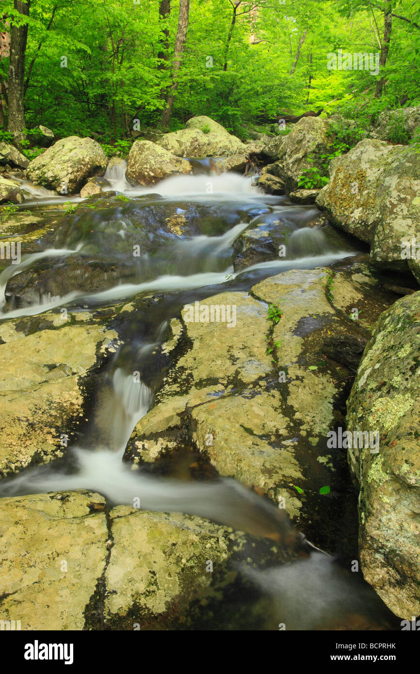 White Oak Canyon Stream Shenandoah National Park Virginia Stock Photo ...