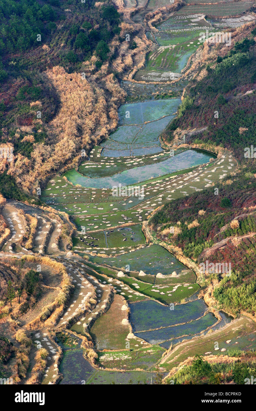 Terrance hi-res stock photography and images - Alamy