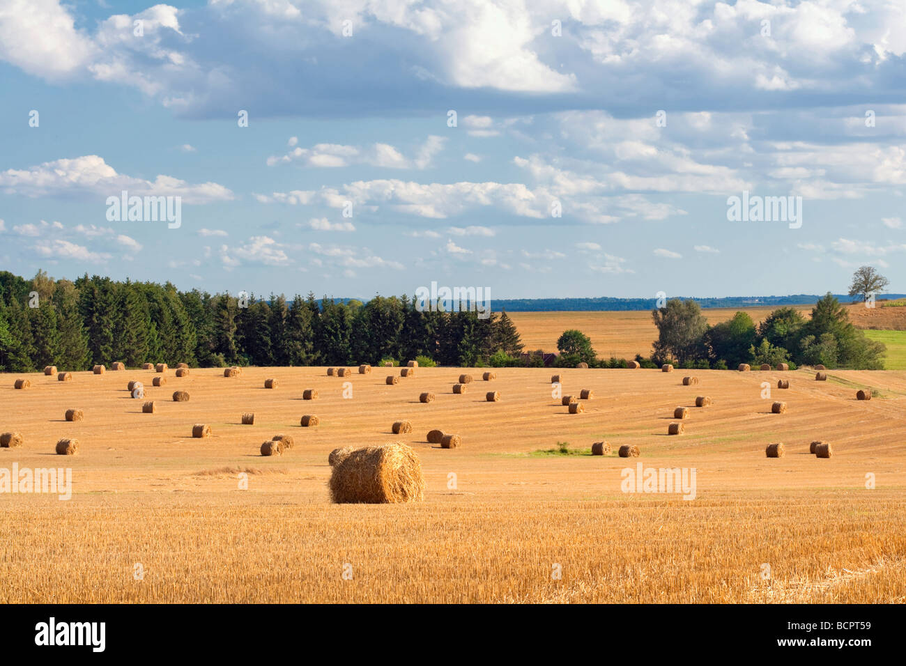 field with bales of hay blue sky southern bohemia Stock Photo - Alamy