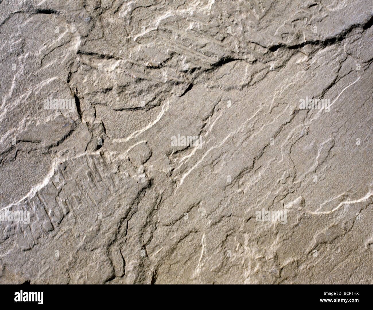 York stone hi-res stock photography and images - Alamy