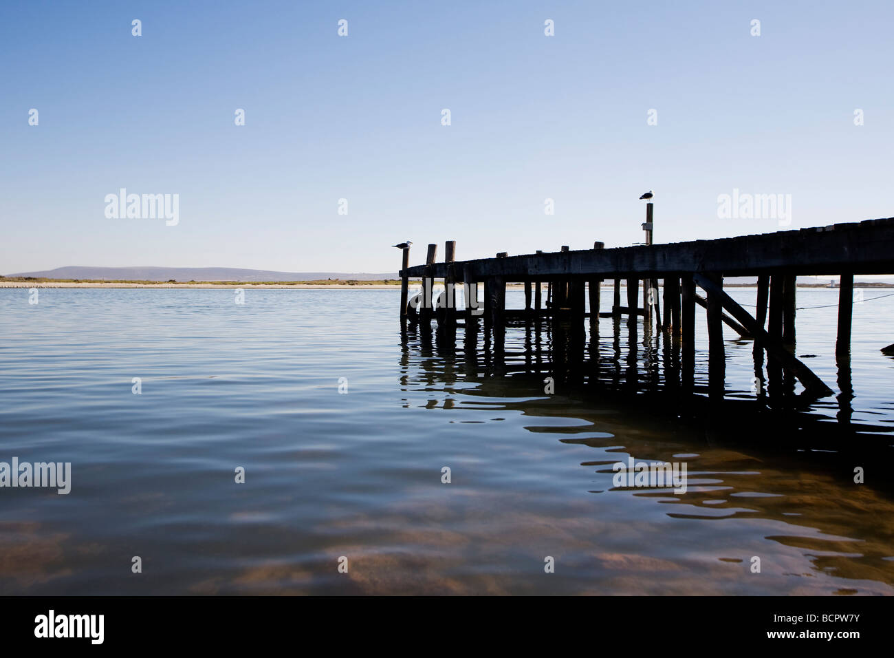 Dirty dock hi-res stock photography and images - Alamy