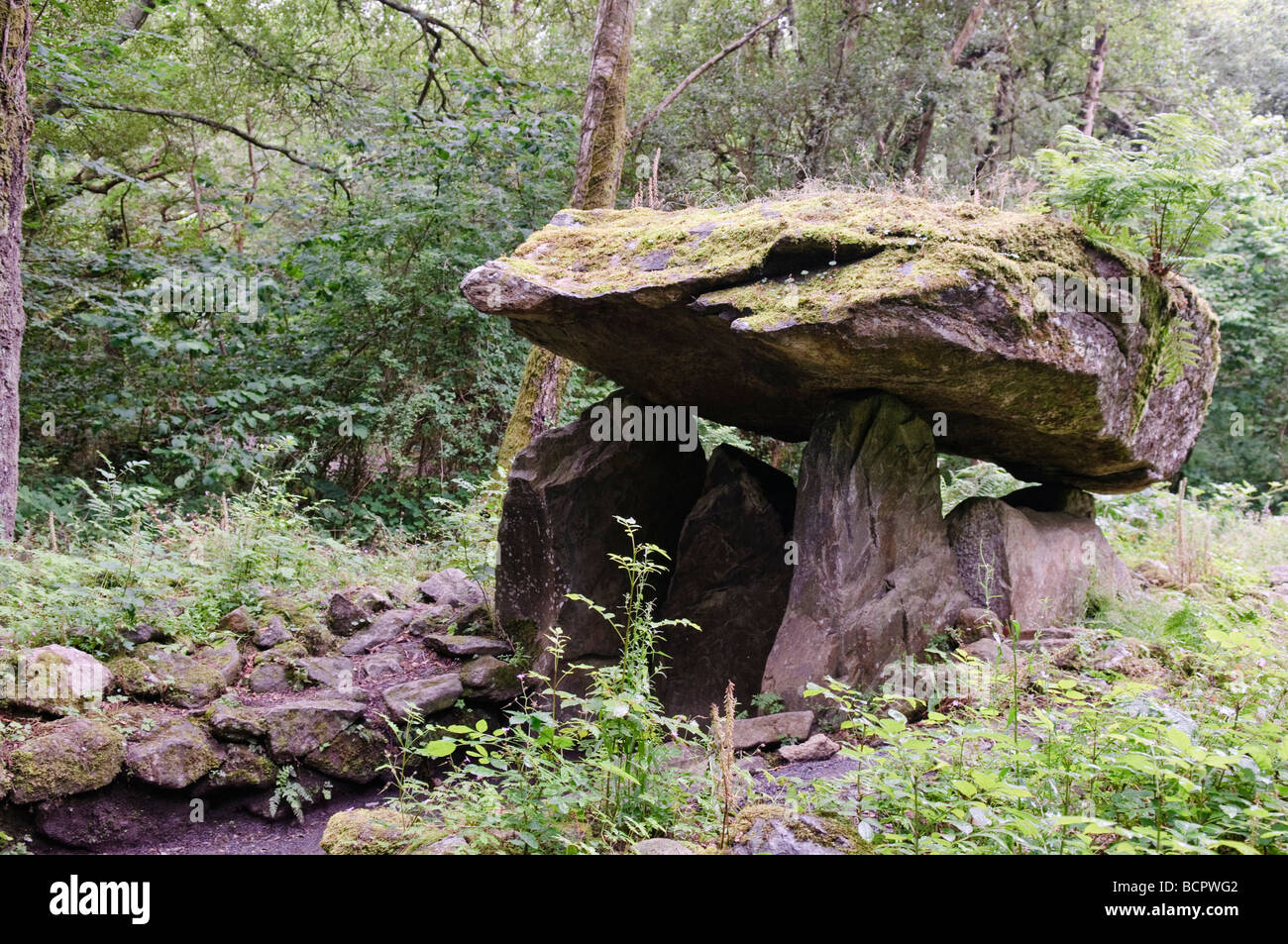 Dolmen at the Irish National Heritage Park, County Wexford Stock Photo ...