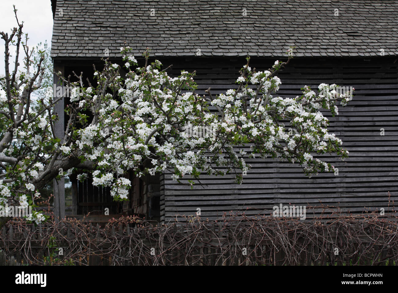 Historic village wooden cabin in Michigan USA countryside early Spring ...