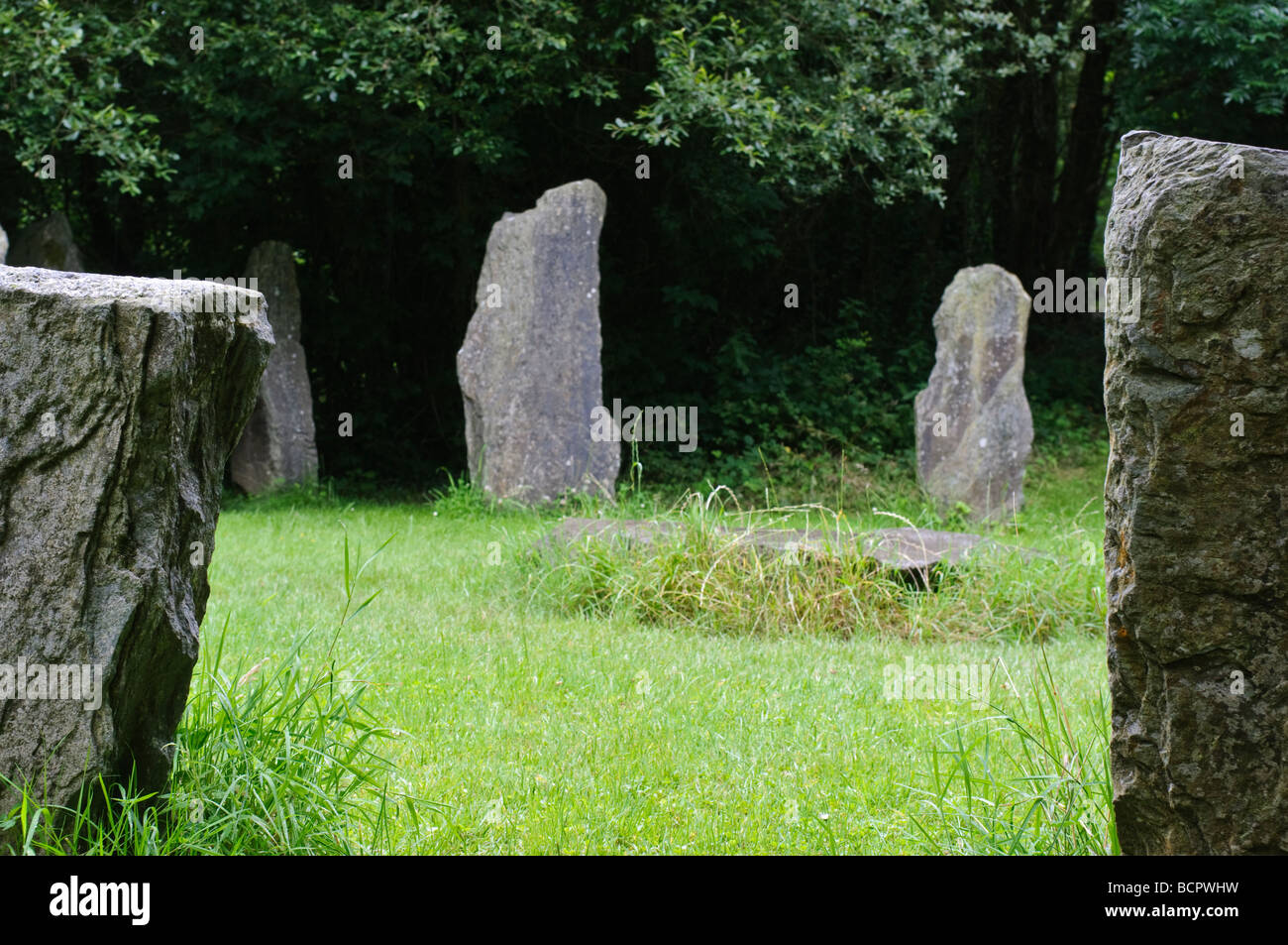 Standing stones form a stone circle in the Irish National Heritage Park ...