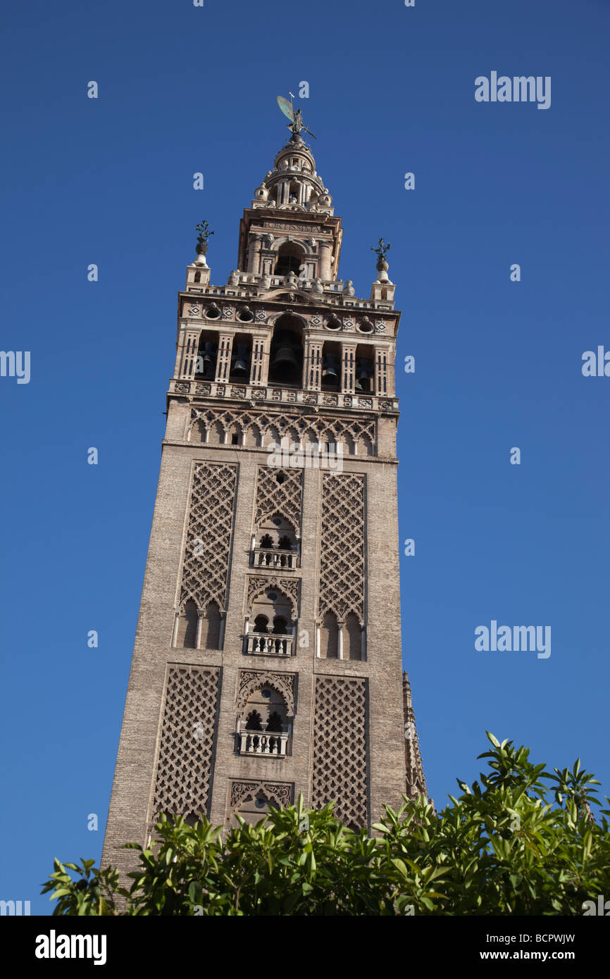 Giralda tower seville cathedral hi-res stock photography and images - Alamy