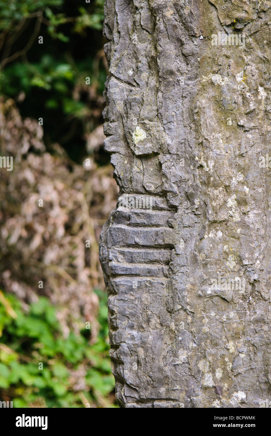 Standing stone with Ogham inscription Stock Photo - Alamy