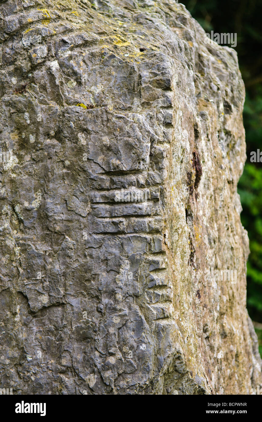 Standing stone with Ogham inscription Stock Photo - Alamy