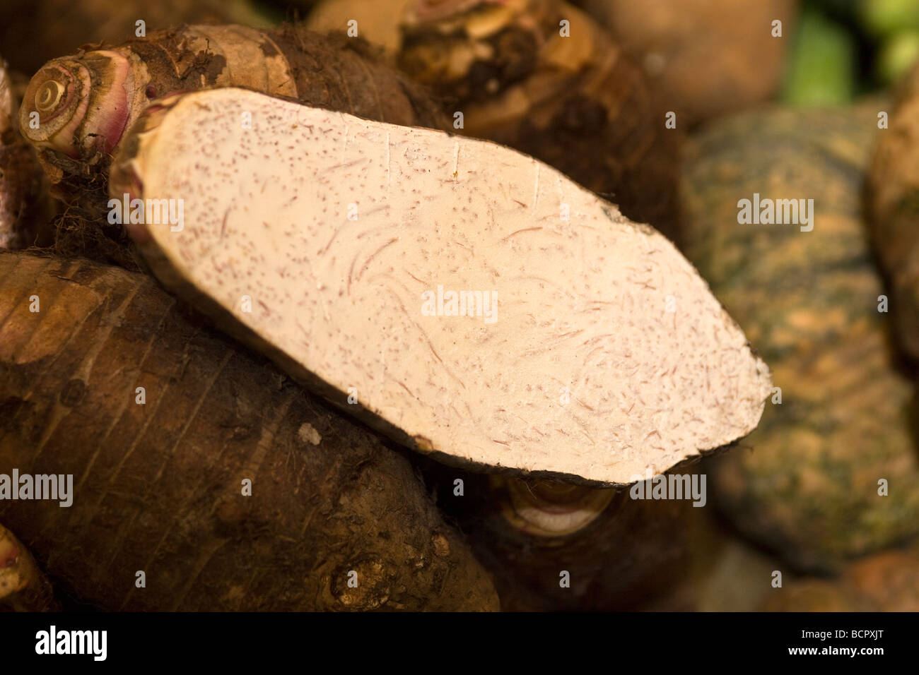 Root Vegetables on sale in Phnom Penh Cambodia Stock Photo - Alamy