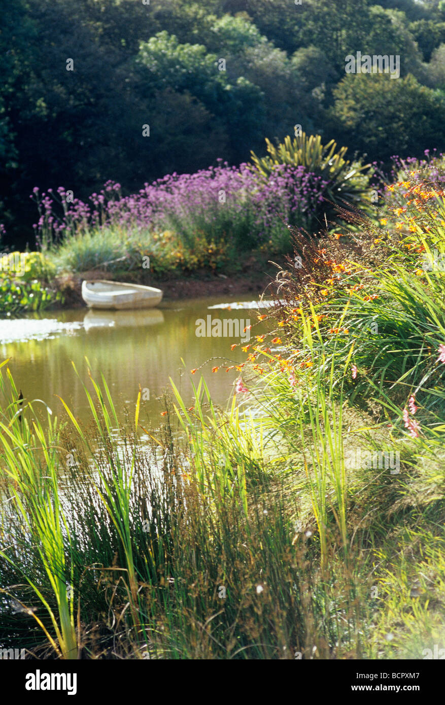 variety not identified Variety not identified Stock Photo - Alamy