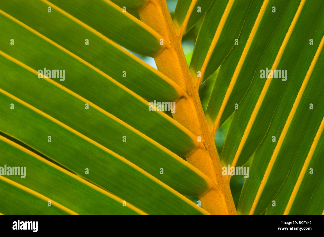 Palm facing up hi-res stock photography and images - Alamy