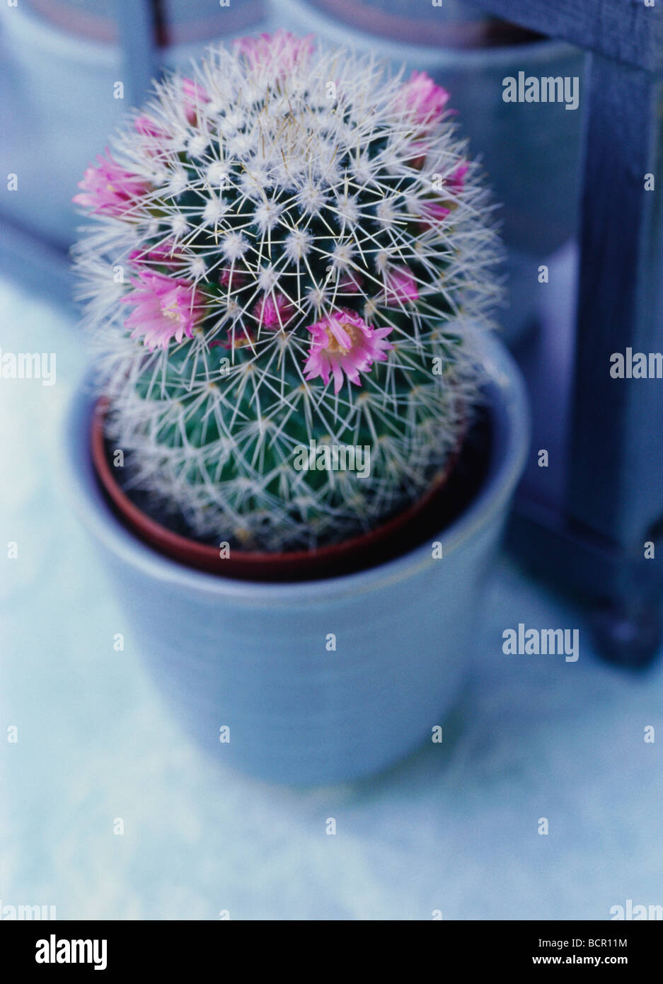 Resilient object hi-res stock photography and images - Alamy