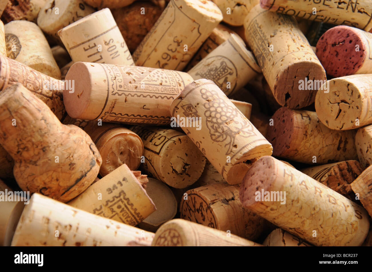 Champagne cork art hi-res stock photography and images - Alamy
