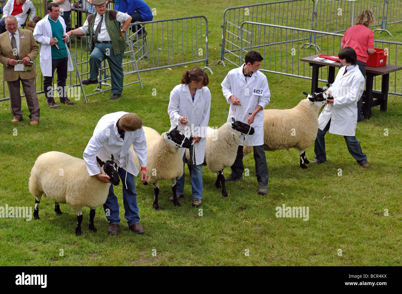 The Royal Welsh Show, Builth Wells, Powys, Wales, UK Stock Photo - Alamy